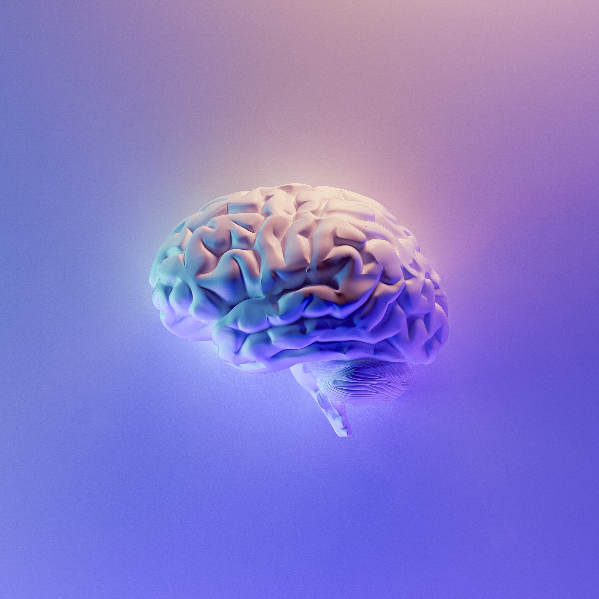 HOW Foundation of South Florida – HBOT Advocacy & Access